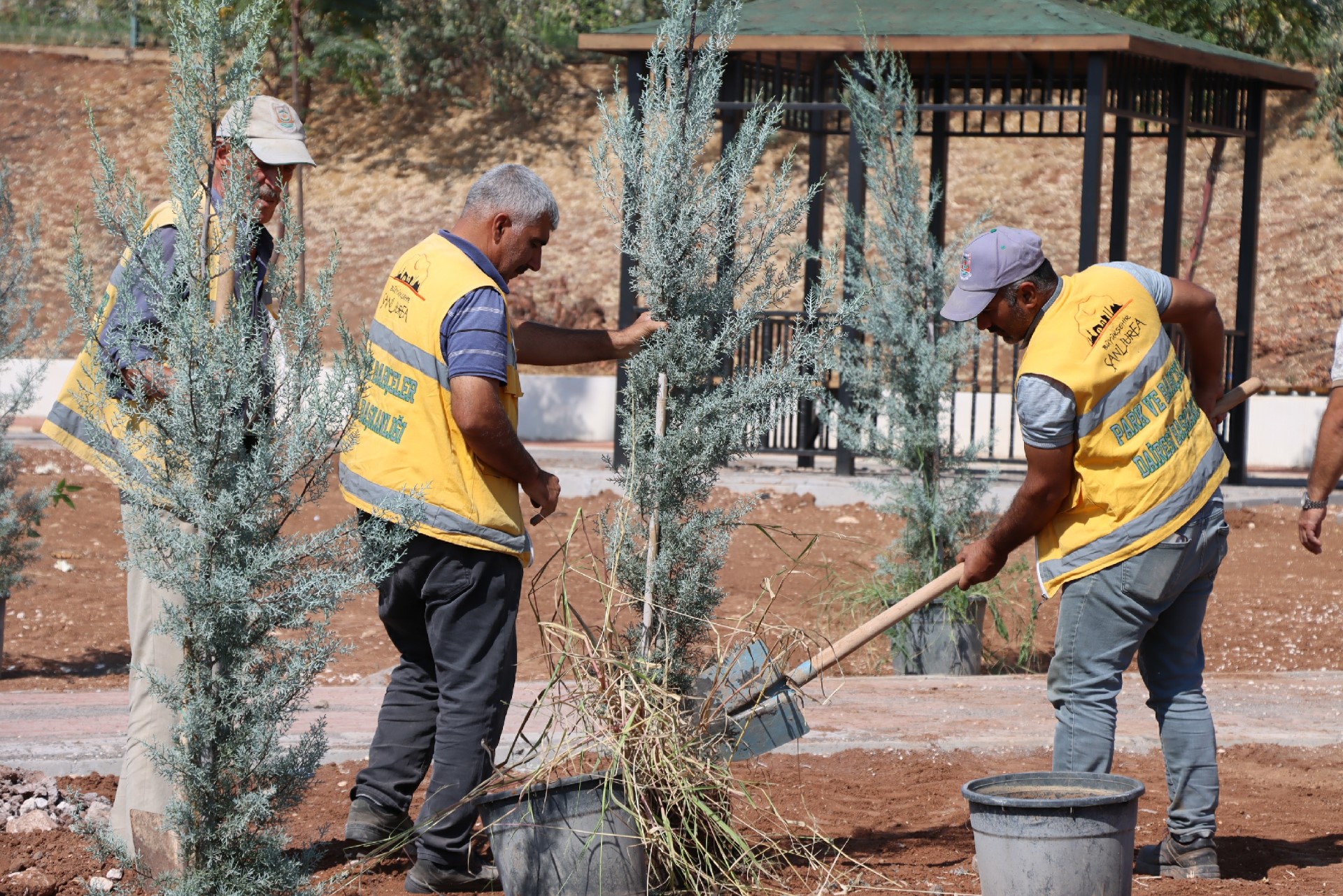 Sukay Tıbbi Aromatik Parkı Şanlıurfa’ya Çok Yakışacak - Şanlıurfa ...