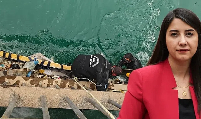 Dilan Kunt Ayan'dan Sulama Kanalları İçin TBMM'ye Soru Önergesi ...